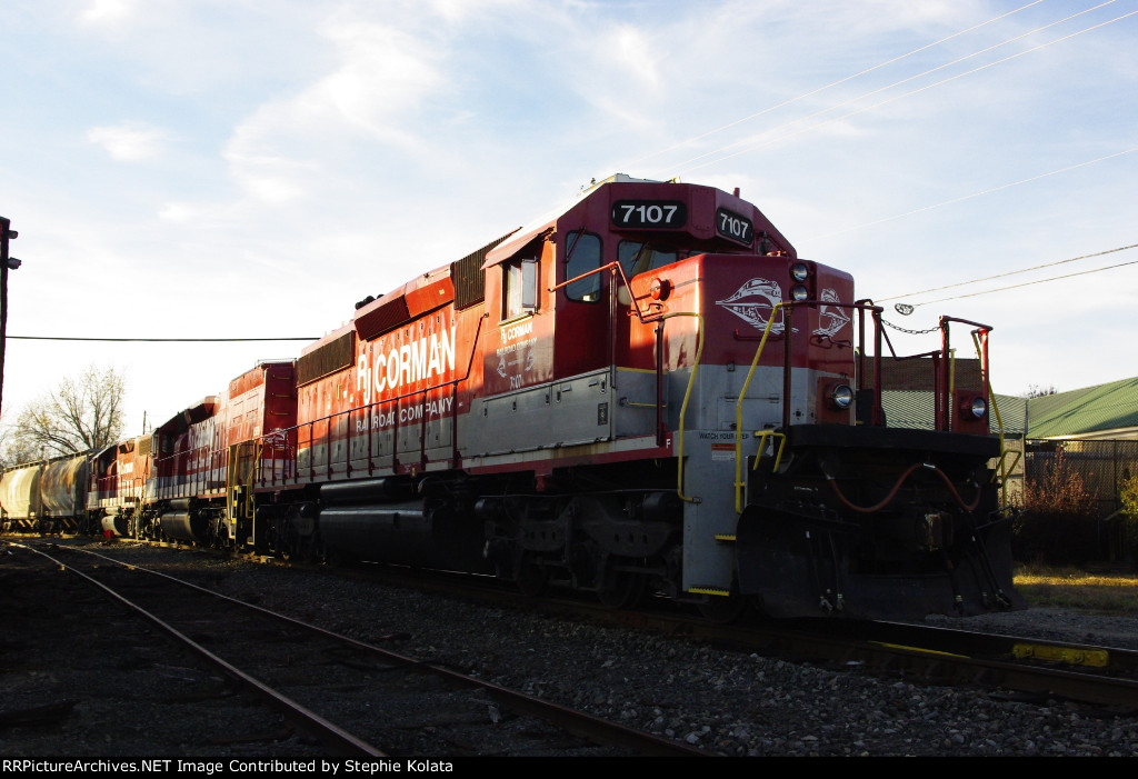 RJC 7107 SITTING IN THE SUNSITTING LIGHT